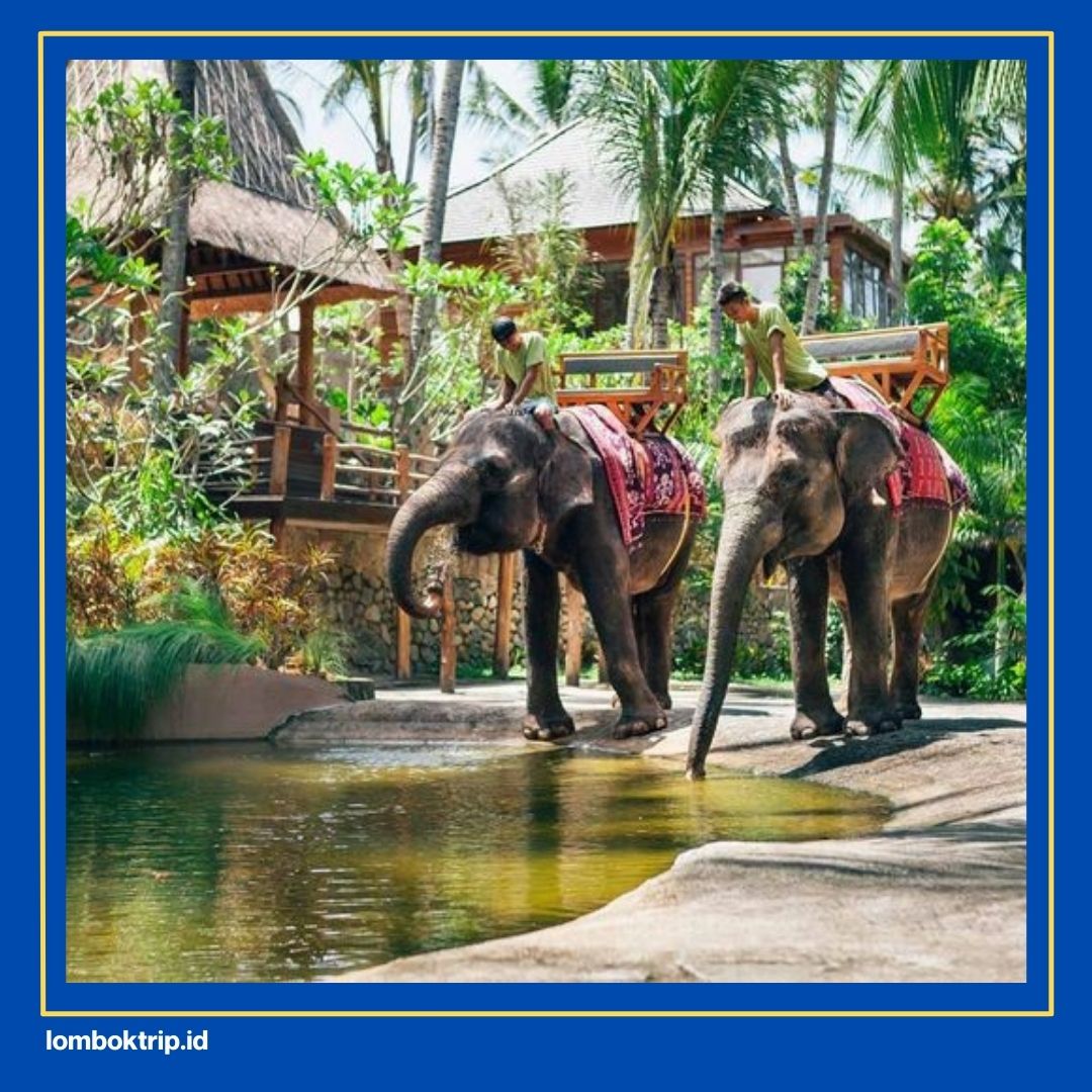 8 Tempat Wisata Seru Saat Liburan ke Lombok dengan Anak